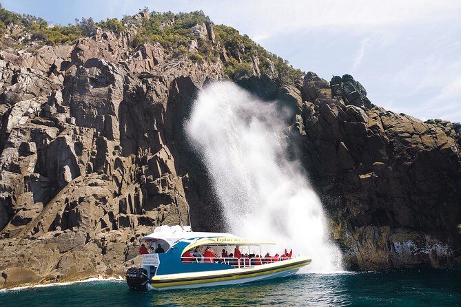 3-Hour Bruny Island Cruise from Adventure Bay, Bruny Island - An Authentic Sea Adventure on Tasmania’s Shores
