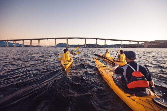 3-Hour Bruny Island Cruise from Adventure Bay, Bruny Island - Final Thoughts: Is It Worth It?