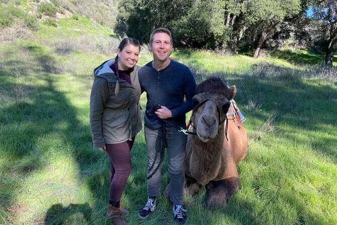 3 Hour Camel Trek into the Forest and Ranch in California - An In-Depth Look at the Experience