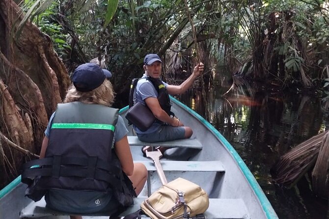3-Hour Canoe Tour Through Tortuguero National Park - Tour Logistics and Capacity