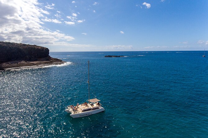 3-hour catamaran excursion along the Costa Adeje - A Closer Look at the Experience