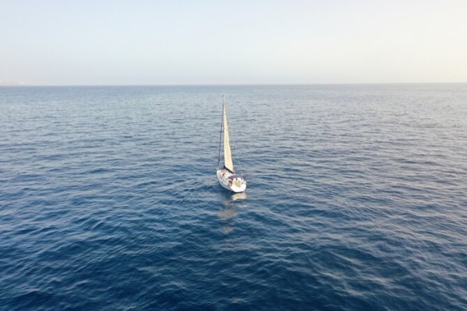 3-Hour Cetacean Watching Tour Review - Accessibility Information