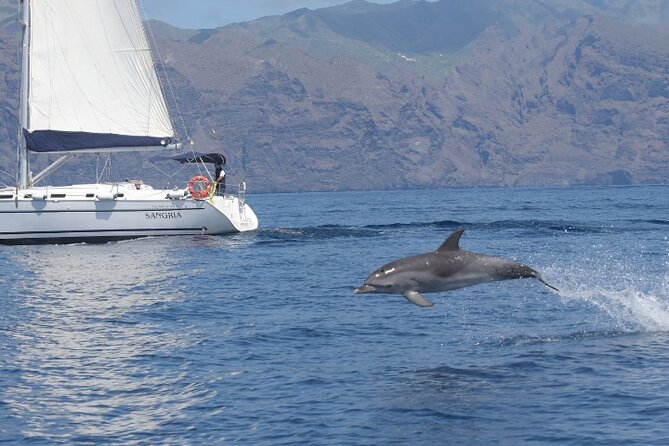 3-Hour Cetacean Watching Tour Review - Personalized and Friendly Service