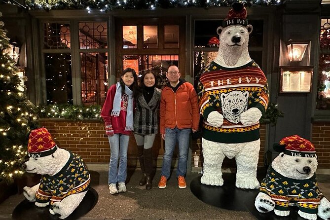 3-Hour Christmas Lights and Markets London Taxi Tour - Accessibility