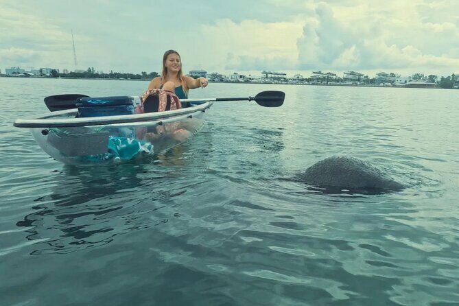 3-Hour Clear Kayak Beach Hopping Adventure in Sarasota - An Overview of the Experience