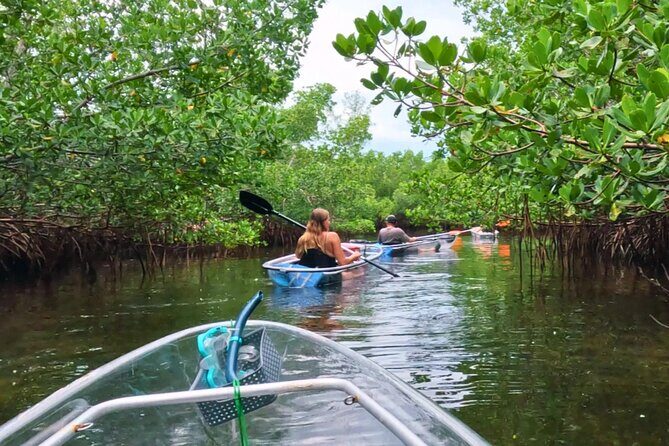 3-Hour Clear Kayak Beach Hopping Adventure in Sarasota - Frequently Asked Questions