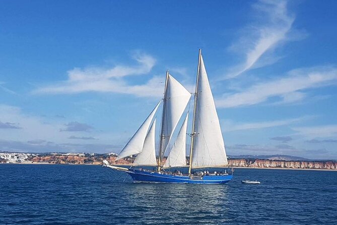 3 Hour Cruise Experience From Vilamoura - Customer Reviews and Testimonials
