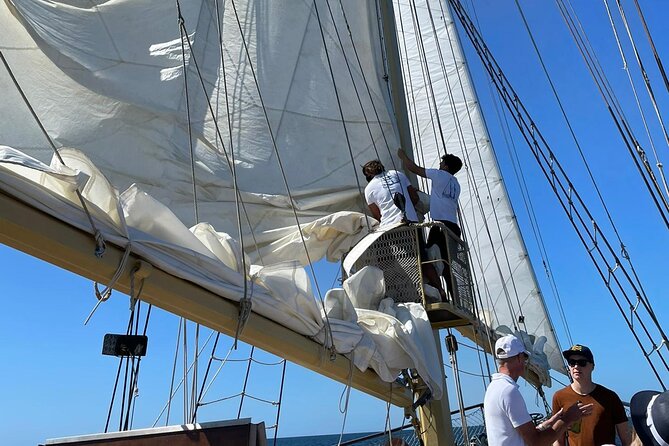 3 Hour Cruise Experience From Vilamoura - How to Prepare for Your Trip