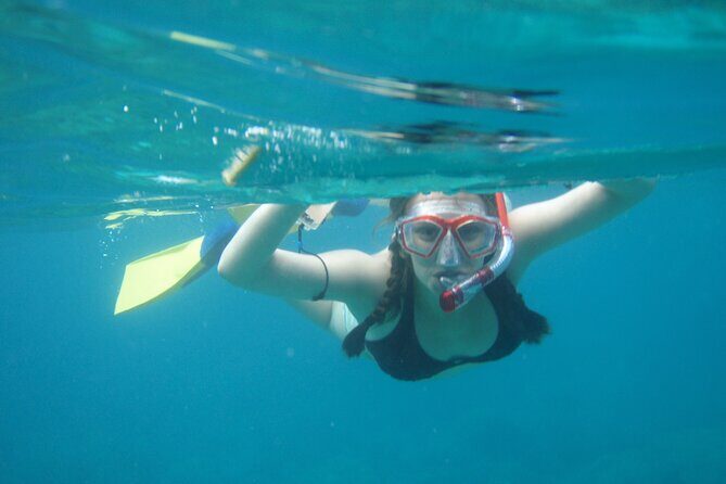 3 Hour Cruise & Swimming Excursion off Peanut Island Park - What You Can Expect on This West Palm Beach Water Adventure