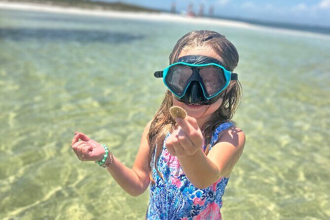3 Hour Dolphin Tour and Snorkeling in Shell Island - Frequently Asked Questions