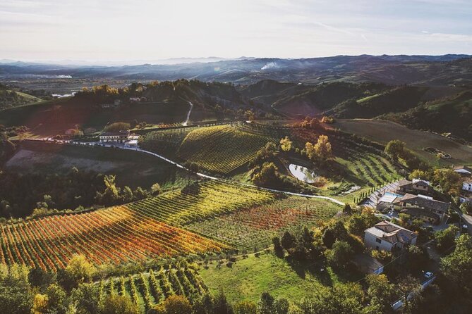 3 Hour E-Bike Tour With Parmesan and Balsamic Vinegar - Booking and Cancellation Information