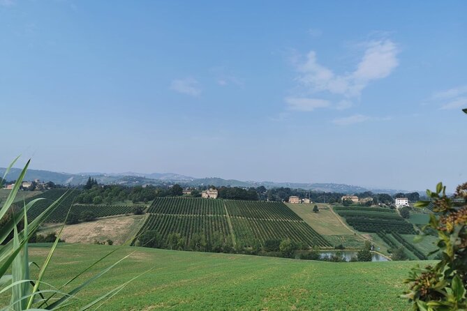 3 Hour E-Bike Tour With Parmesan and Balsamic Vinegar - Frequently Asked Questions