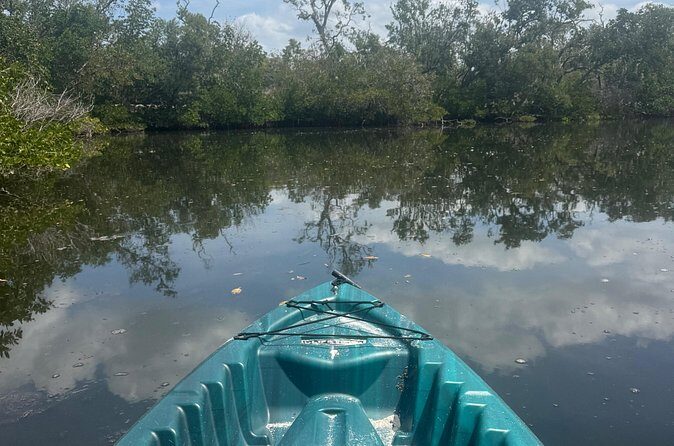 3 hour E.G. Simmons Park Mangrove Tunnel Tour - Practical Considerations and Tips