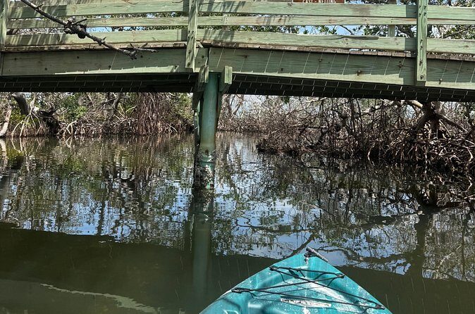 3 hour E.G. Simmons Park Mangrove Tunnel Tour - Final Thoughts
