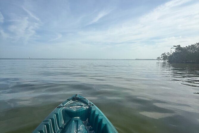 3 hour E.G. Simmons Park Mangrove Tunnel Tour - Frequently Asked Questions