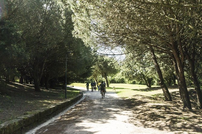 3-Hour Electric Porto Bike Tour - Guided Exploration
