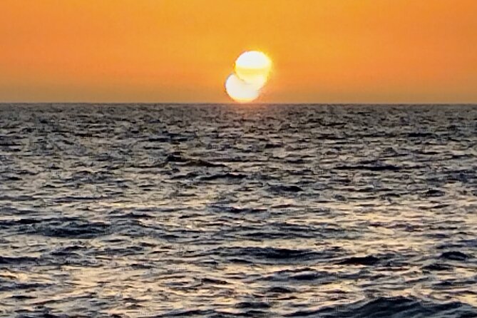 3-Hour Excursion to Puerto Colón Adeje to See Whales - Educational Aspects of the Tour