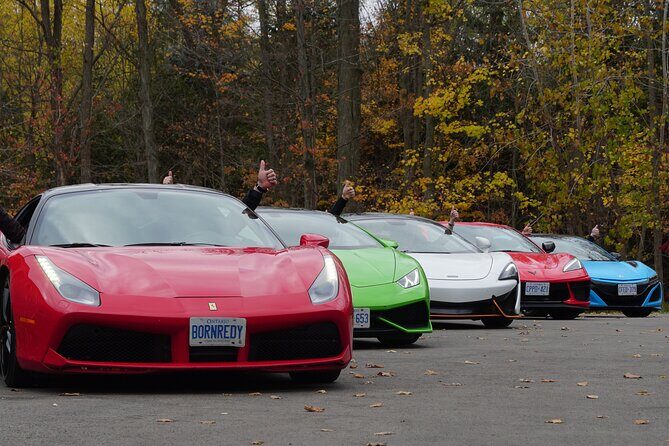 3 Hour Exotic car Tour driving 4 to 5 Super cars - Who should book this?
