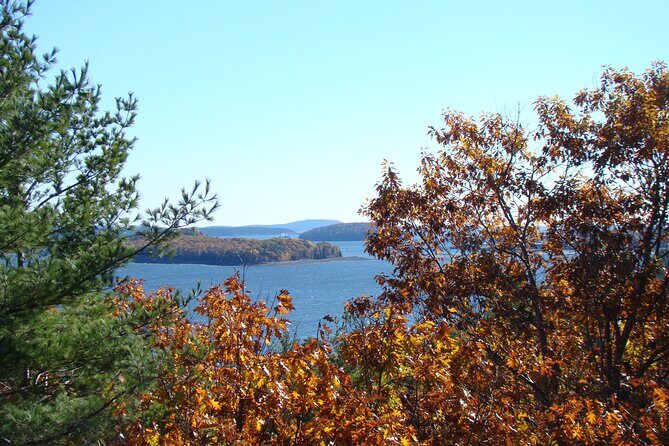 3 Hour Fiord, Mansions, Rocky Coastline - Practical Details and Considerations