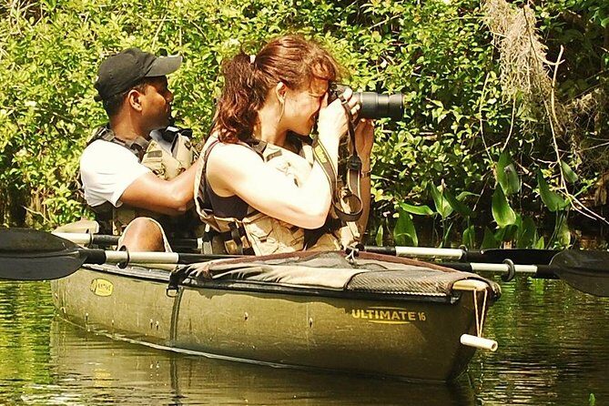 3 Hour Guided Mangrove Tunnel Kayak Eco Tour - The Value and Practicalities