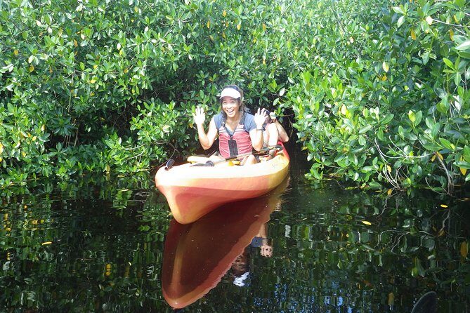 3 Hour Guided Mangrove Tunnel Kayak Eco Tour - What the Reviews Say