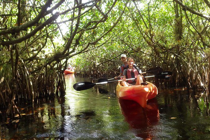 3 Hour Guided Mangrove Tunnel Kayak Eco Tour - FAQ