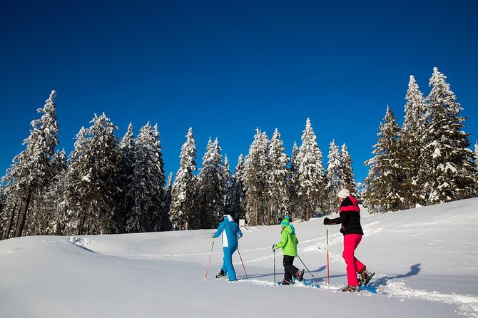 3-Hour Guided Snowshoeing Adventure in the Slovenian Alps - Exploring Slovenia’s Snowy Wonderland: A Review of the 3-Hour Guided Snowshoeing Adventure in the Slovenian Alps
