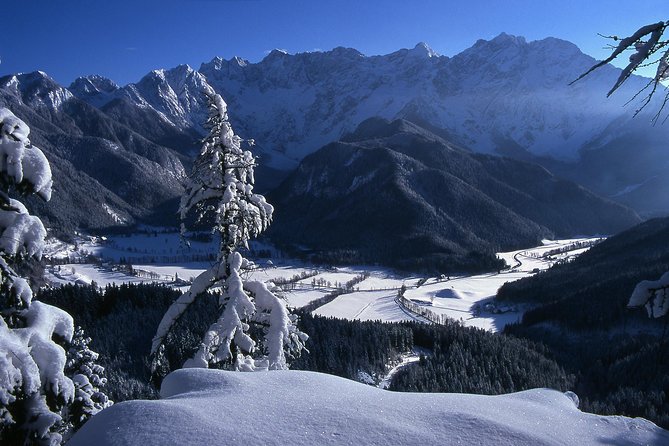 3-Hour Guided Snowshoeing Adventure in the Slovenian Alps - Who Should Book This Tour?