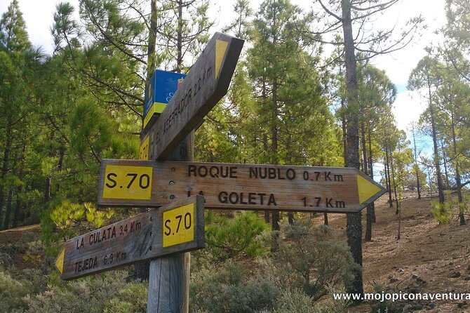 3-Hour Hiking Experience in Roque Nublo - Cancellation Policy