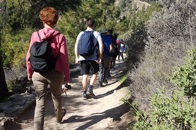 3-Hour Hiking Experience in Roque Nublo - What to Expect on the Trail