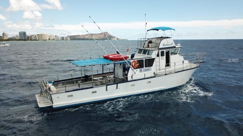 3-Hour Honolulu Bottom Fishing Adventure - Key Points