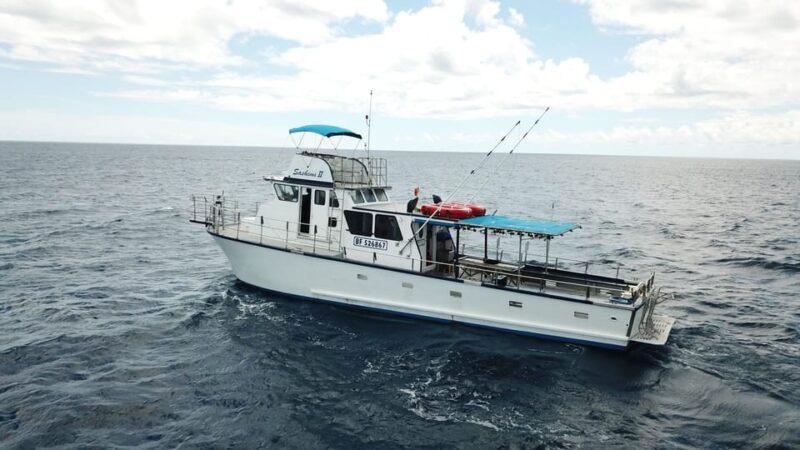 3-Hour Honolulu Bottom Fishing Adventure - Price and Value