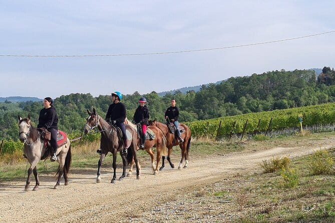 3 Hour Horse Ride to a Castle for Wine Tasting and snack Lunch - The Castle and Wine Tasting Experience