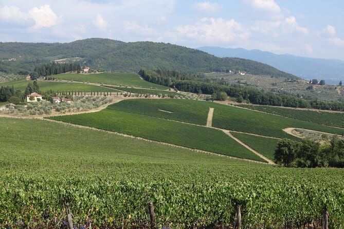 3 Hour Horse Ride to a Castle for Wine Tasting and snack Lunch - The Sum Up