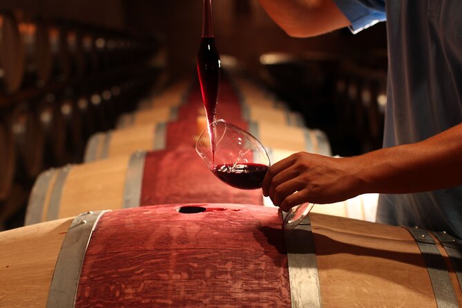 3 Hour Horse Ride to a Castle for Wine Tasting and snack Lunch - Key Points