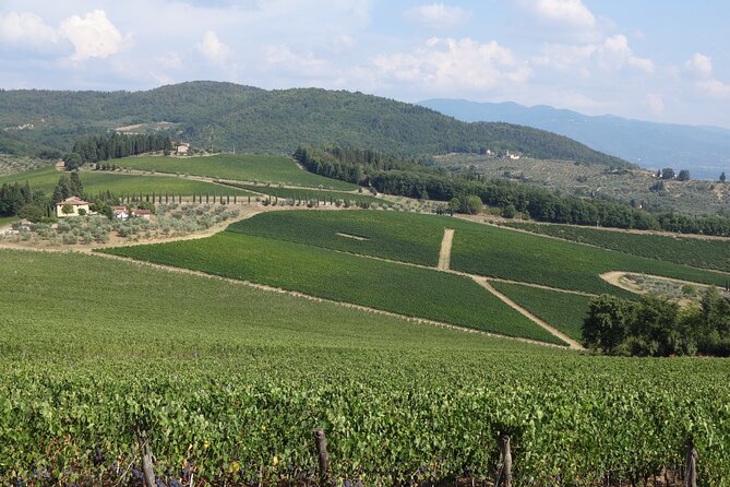 3 Hour Horse Ride to a Castle for Wine Tasting and snack Lunch - The Itinerary in Detail