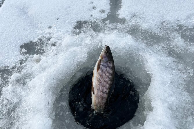 3 Hour Ice Fishing Experience - The Role of Weather and Season