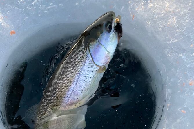 3 Hour Ice Fishing Experience - Who Will Enjoy This?