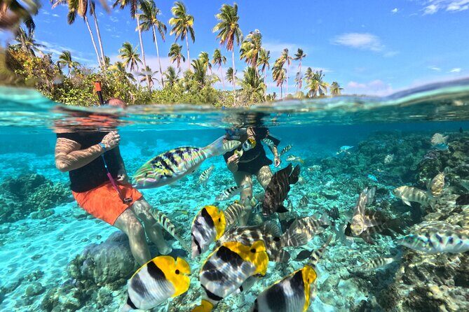 3 Hour JetSki Excursion around Taha'a - Key Points