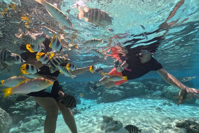 3 Hour JetSki Excursion around Taha'a - What Travelers Love About This Tour