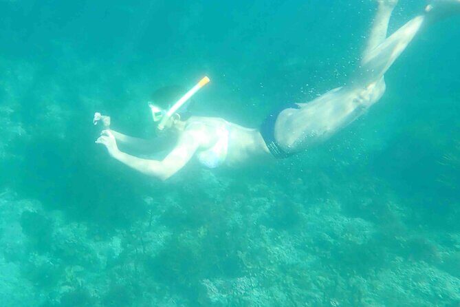3-Hour Kayak and Snorkeling Experience in Batemans Bay - Authentic Insights from Real Travelers
