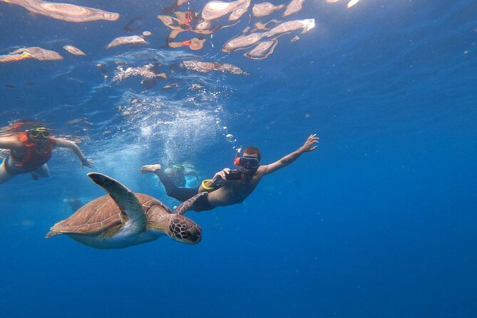 3 Hour Kayak and Snorkeling Experience in Tenerife - Booking and Cancellation Policies
