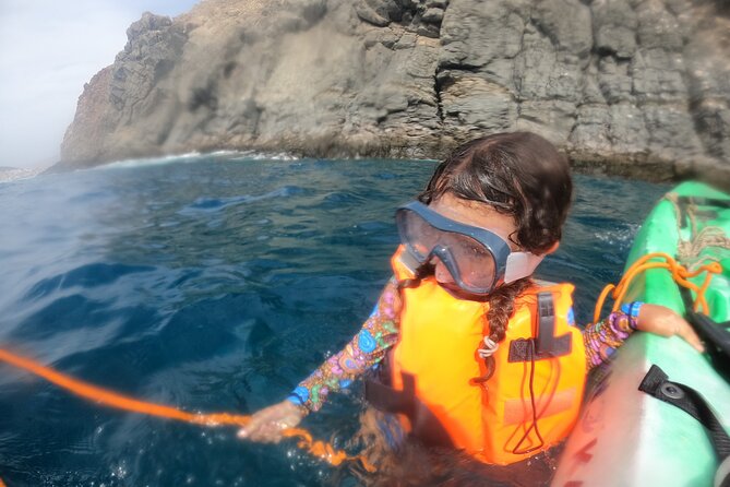 3 Hour Kayak and Snorkeling Experience in Tenerife - What to Expect on the Excursion