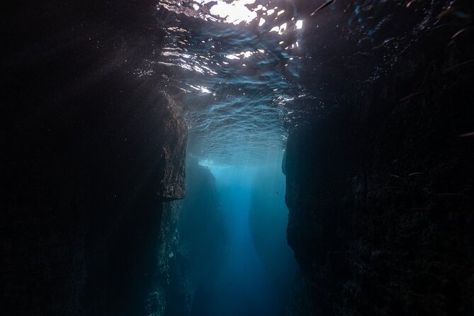 3 Hour Kayak Guided Tour in Islet of Vila Franca Do Campo - Meeting and Ending Point Details