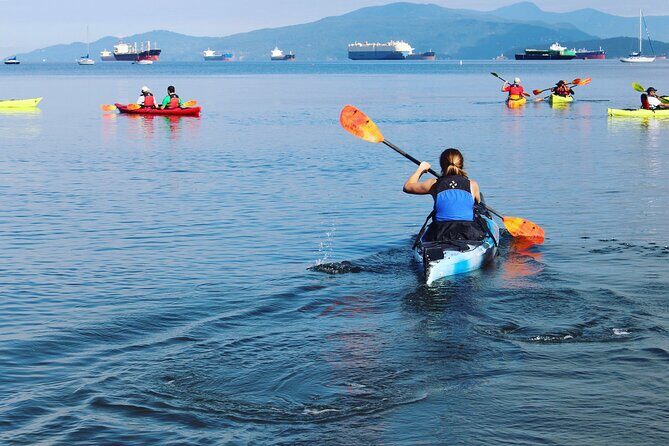 3 Hour Kayak in Vancouver with Coffee on the Beach - The Experience: What You Can Expect