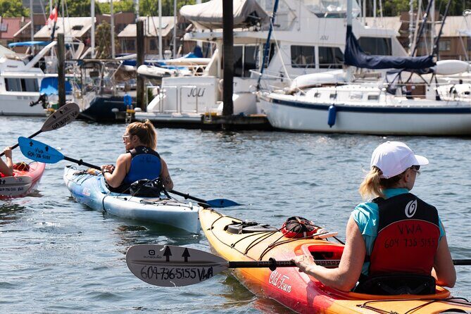 3 Hour Kayak in Vancouver with Coffee on the Beach - The Sum Up: Who Will Love This Tour?