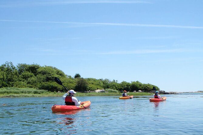 3 Hour Kayak/SUP Rental in Biddeford Pool - Why Choose This Kayak/SUP Rental in Biddeford Pool?