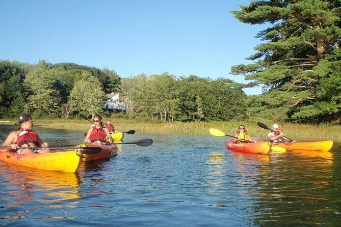 3 Hour Kayak/SUP Rental in Biddeford Pool - What to Expect During Your Rental