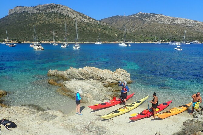3-Hour Kayak Tour at Capo Figari (Golfo Aranci) - Key Points