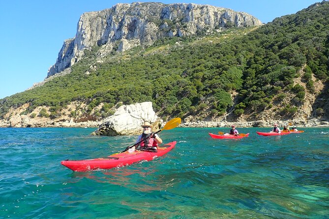 3-Hour Kayak Tour at Capo Figari (Golfo Aranci) - Customer Feedback
